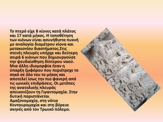 ΑΡΧΙΤΕΚΤΟΝΙΚΑ ΣΤΟΙΧΕΙΑ ΤΟΥ ΠΑΡΘΕΝΩΝΑ | PPTX