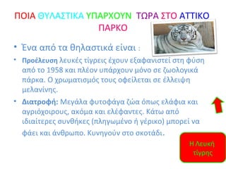 ΑΤΤΙΚΟ ΠΑΡΚΟ | PPT