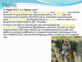 φυτοφάγα και σαρκοφάγα ζώα | PPT
