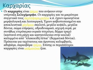 φυτοφάγα και σαρκοφάγα ζώα | PPT