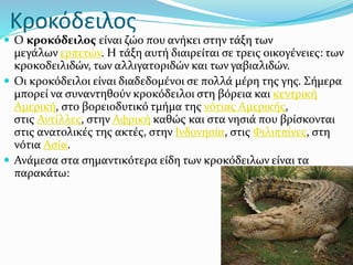 φυτοφάγα και σαρκοφάγα ζώα | PPT