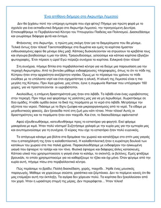 Δημιουργικές Εργασίες | DOCX