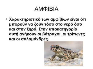 παναγιώτης σπονδυλωτά και ασπόνδυλα | PPT