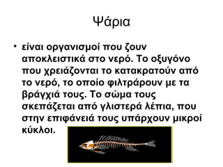 παναγιώτης σπονδυλωτά και ασπόνδυλα | PPT