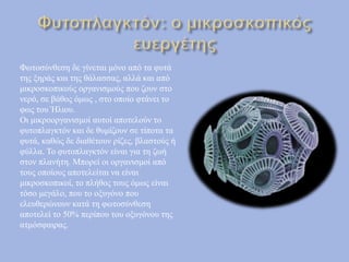 άνθη και φυτά | PPTX