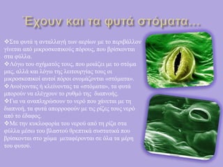 άνθη και φυτά | PPTX