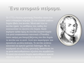 άνθη και φυτά | PPTX
