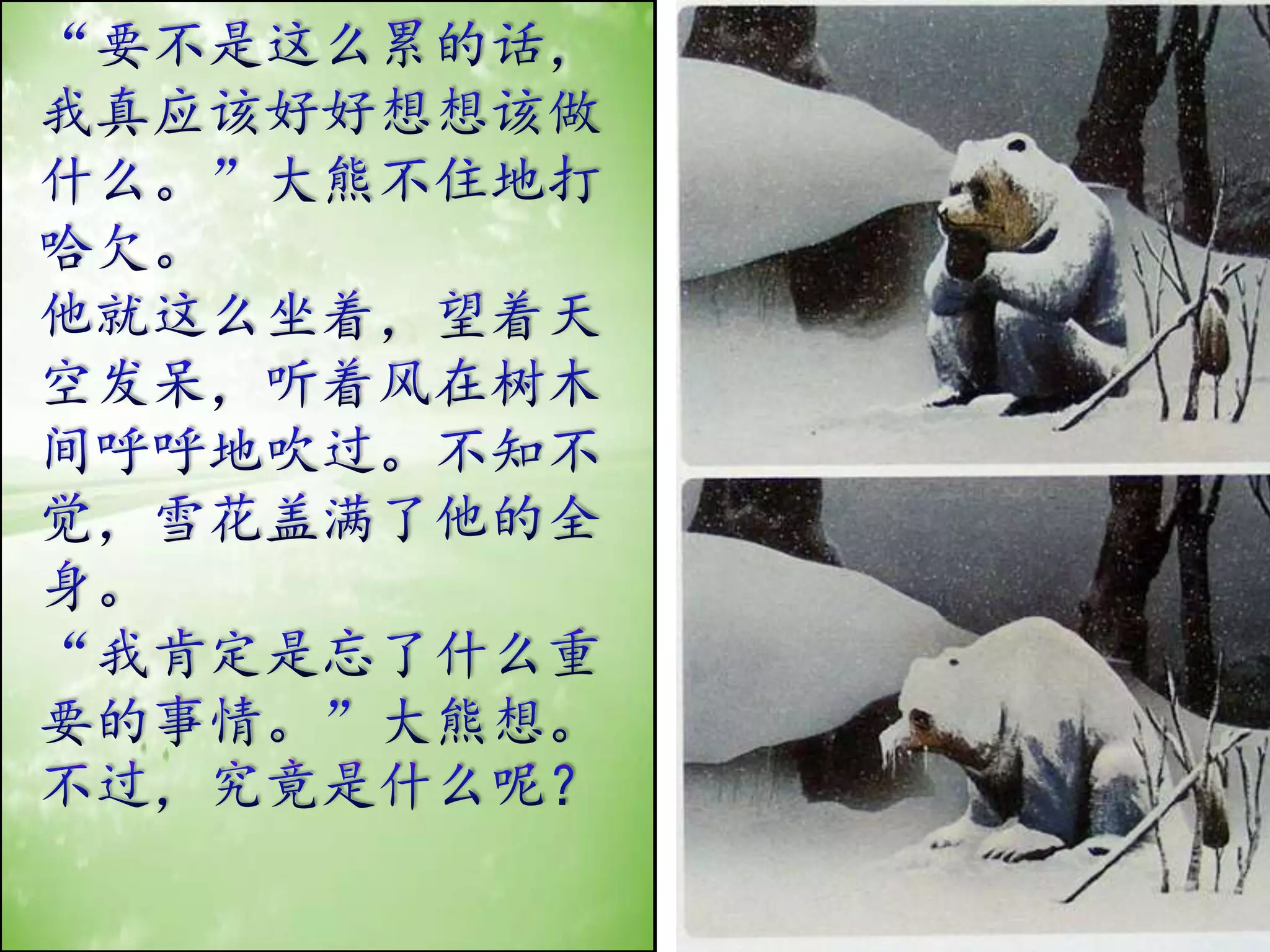 森林大熊 | PPT