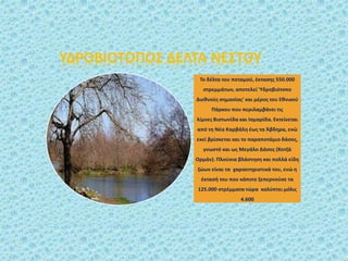 υδροβιότοποι ελλάδας | PPTX