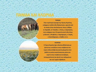 υδροβιότοποι ελλάδας | PPTX