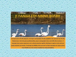 υδροβιότοποι ελλάδας | PPTX