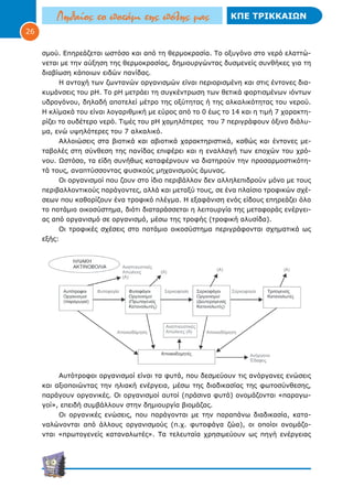 Ληθαίος το ποτάμι της πόλης μας | PDF