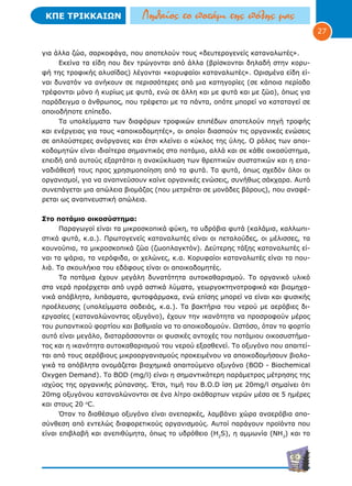 Ληθαίος το ποτάμι της πόλης μας | PDF