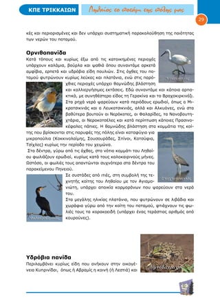 Ληθαίος το ποτάμι της πόλης μας | PDF