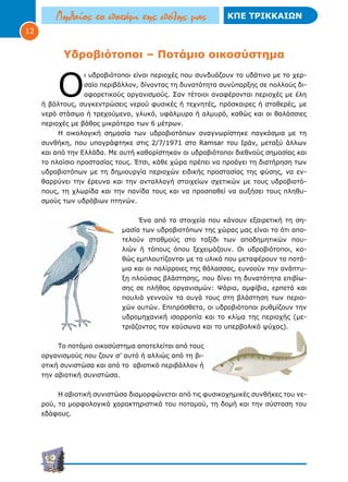 Ληθαίος το ποτάμι της πόλης μας | PDF
