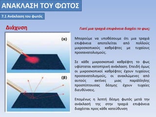 ανακλαση διαθλαση φωτοσ | PPTX