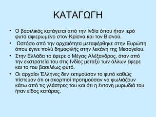 βασιλικος | PPT