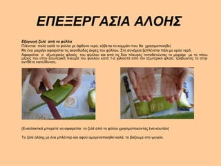 παρουσιασηαλοη | PPT
