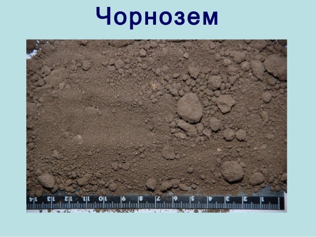 Грунт
