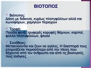 "To Πλατώνι και η Ρόδος: Ποιος χρειάζεται ποιον" - Δρ. Νίκος Θεοδωρίδης ...