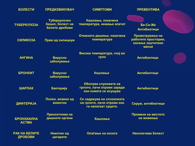 Disenje-razmena na gasovi | PPT