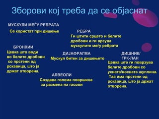 Disenje-razmena na gasovi | PPT