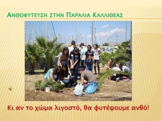 ηιαχτιδα | PPT