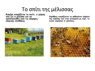 μέλισσα, ένα αξιοθαύμαστο έντομο | PPT
