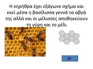 μέλισσα, ένα αξιοθαύμαστο έντομο | PPT