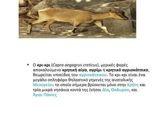 τα αγριοκάτσικα κρι κρι | PPT