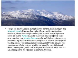 τα αγριοκάτσικα κρι κρι | PPT