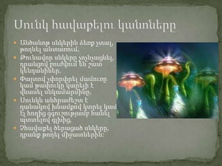 Սնկերի մասին | PPT