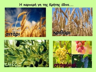 Η ΚΑΘΗΜΕΡΙΝΗ ΖΩΗ ΤΩΝ ΜΙΝΩΙΤΩΝ | PPT