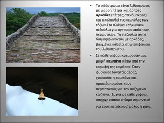 Τα πέτρινα γεφύρια της Μακεδονίας | PPT