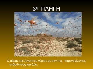 οι επτά πληγές του φαραώ | PPT