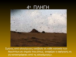 οι επτά πληγές του φαραώ | PPT