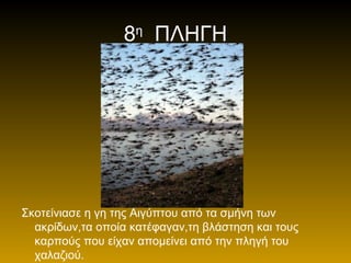 οι επτά πληγές του φαραώ | PPT