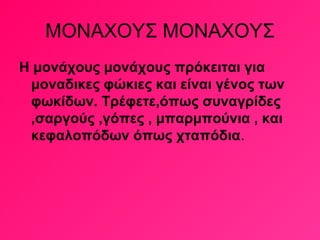 αφιερωμα στα ζωα υπο εξαφανιση | PPT