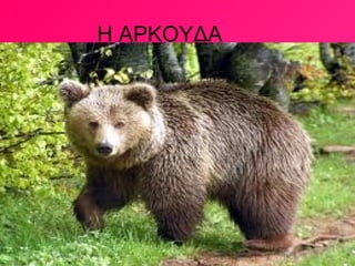 αφιερωμα στα ζωα υπο εξαφανιση | PPT