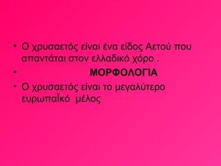 αφιερωμα στα ζωα υπο εξαφανιση | PPT