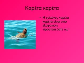 αφιερωμα στα ζωα υπο εξαφανιση | PPT