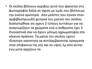 Έγχρωμη όραση - αχρωματοψία (Μυλωνά Μ.) | PPTX