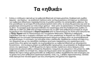 Μεταμοσχευση προσωπου και οργανων (Μπάρκουλα Ιζ.) | PPTX