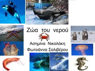 Ζώα του νερού | PPT