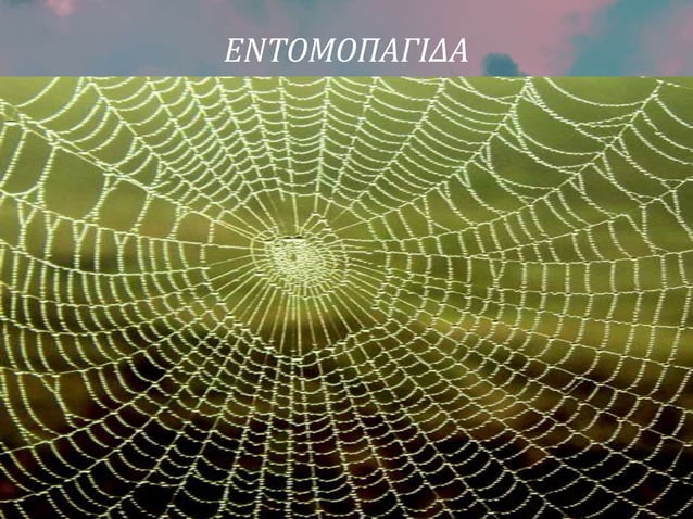 ΕΝΤΟΜΑ ΦΤΕΡΟΚΟΠΟΥΝ... | PPT