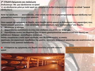 Ο ΔΡΟΜΟΣ ΤΟΥ ΚΡΑΣΙΟΥ | PPTX