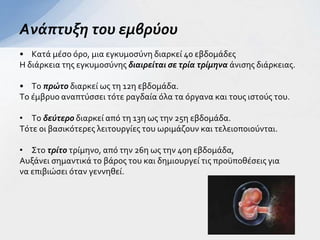 Ανάπτυξη του εμβρύου - (Συριοπούλου Αν.) | PPTX