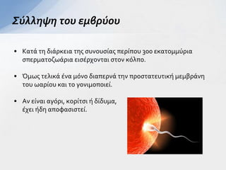 Ανάπτυξη του εμβρύου - (Συριοπούλου Αν.) | PPTX