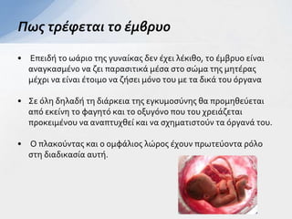 Ανάπτυξη του εμβρύου - (Συριοπούλου Αν.) | PPTX