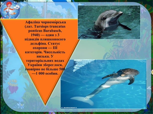 презентація червона книга україни Ppt